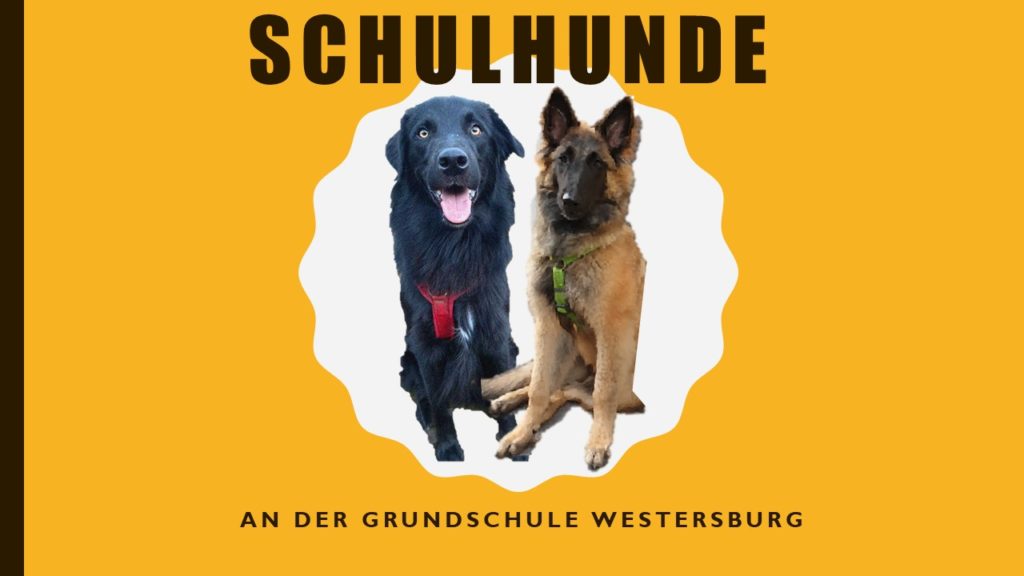 Schulhunde – Grundschule Westersburg