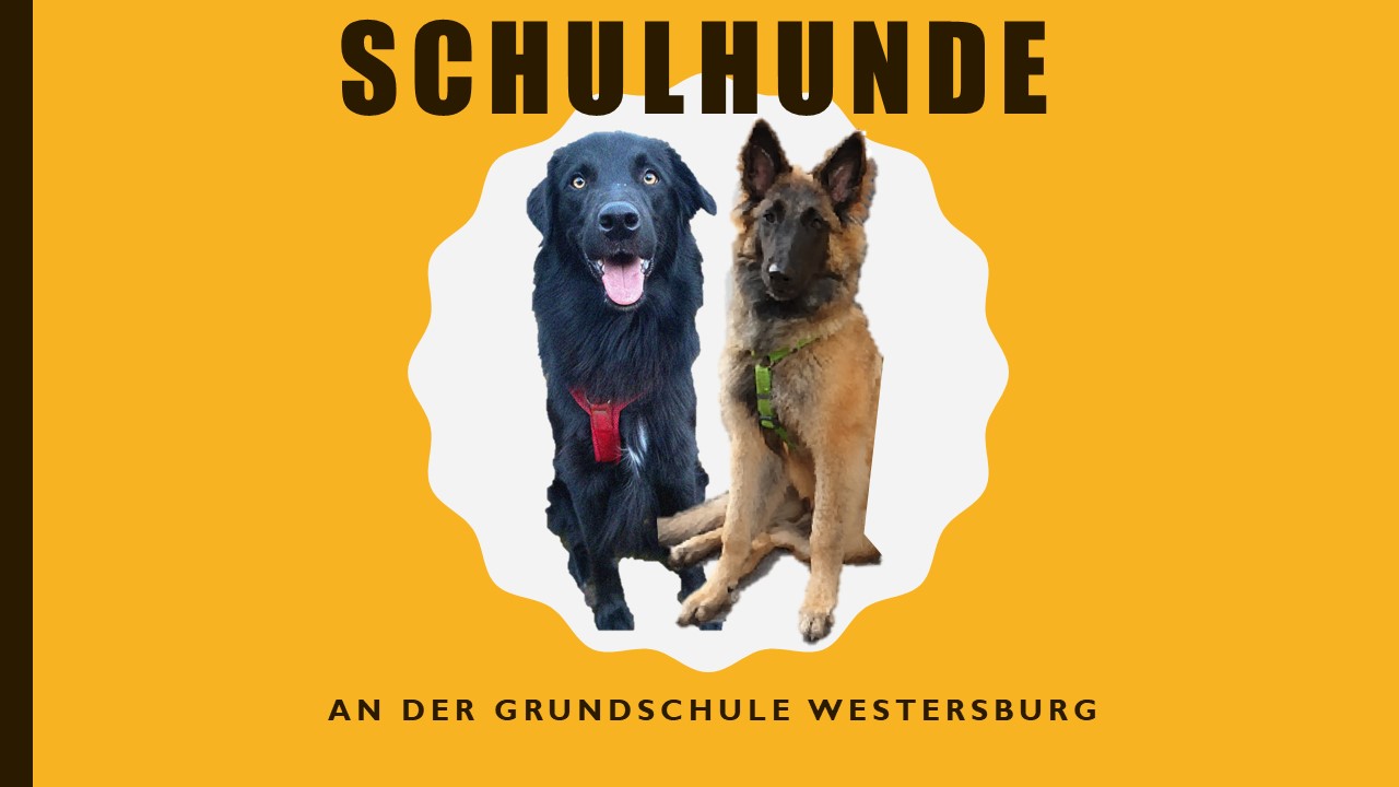Schulhunde – Grundschule Westersburg